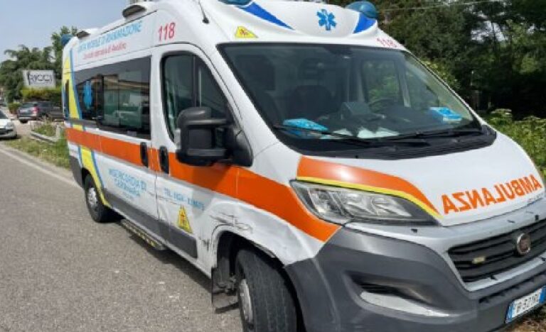 Vitello colpisce donna all'addome, trasportata d'urgenza